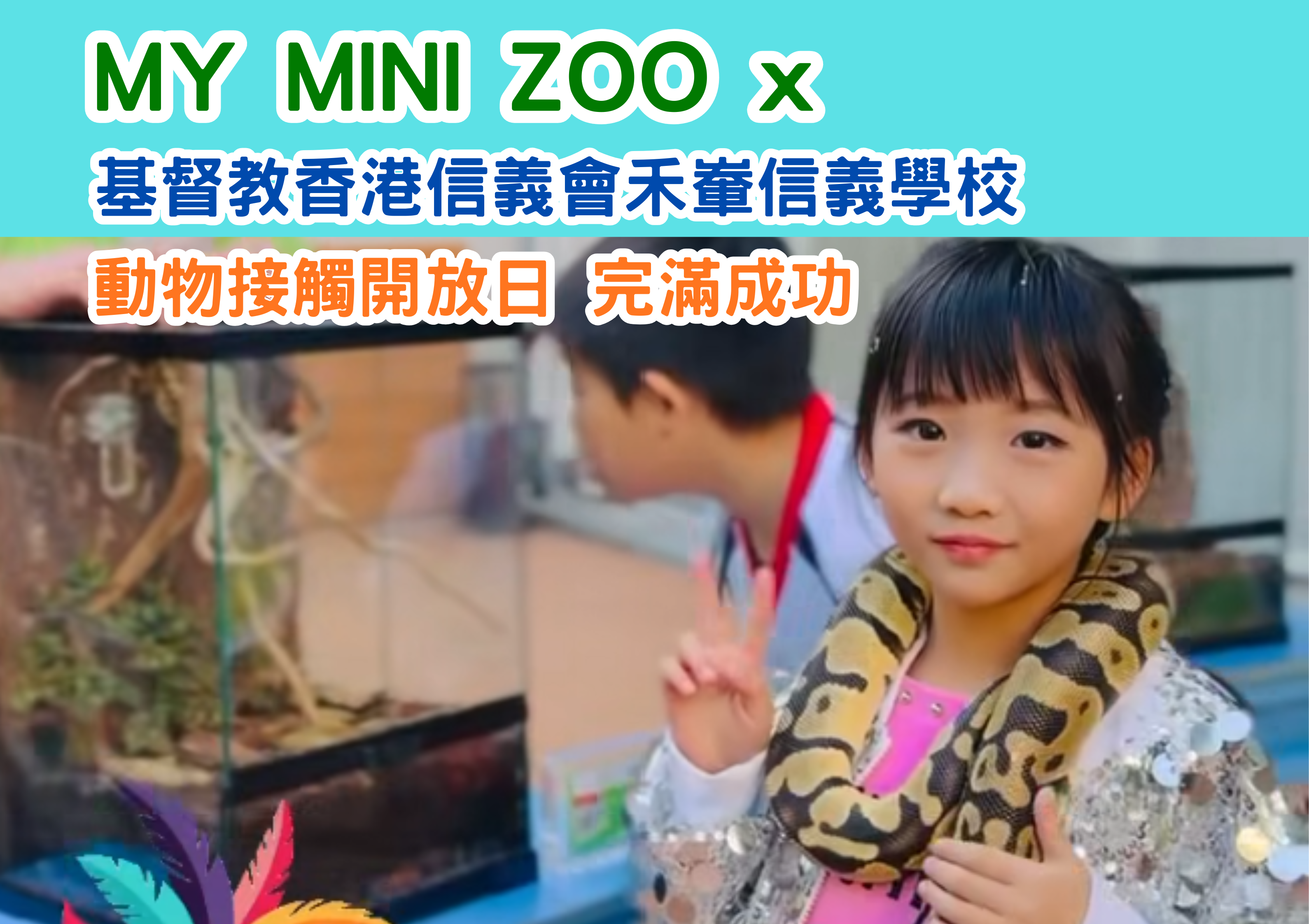 My Mini Zoo